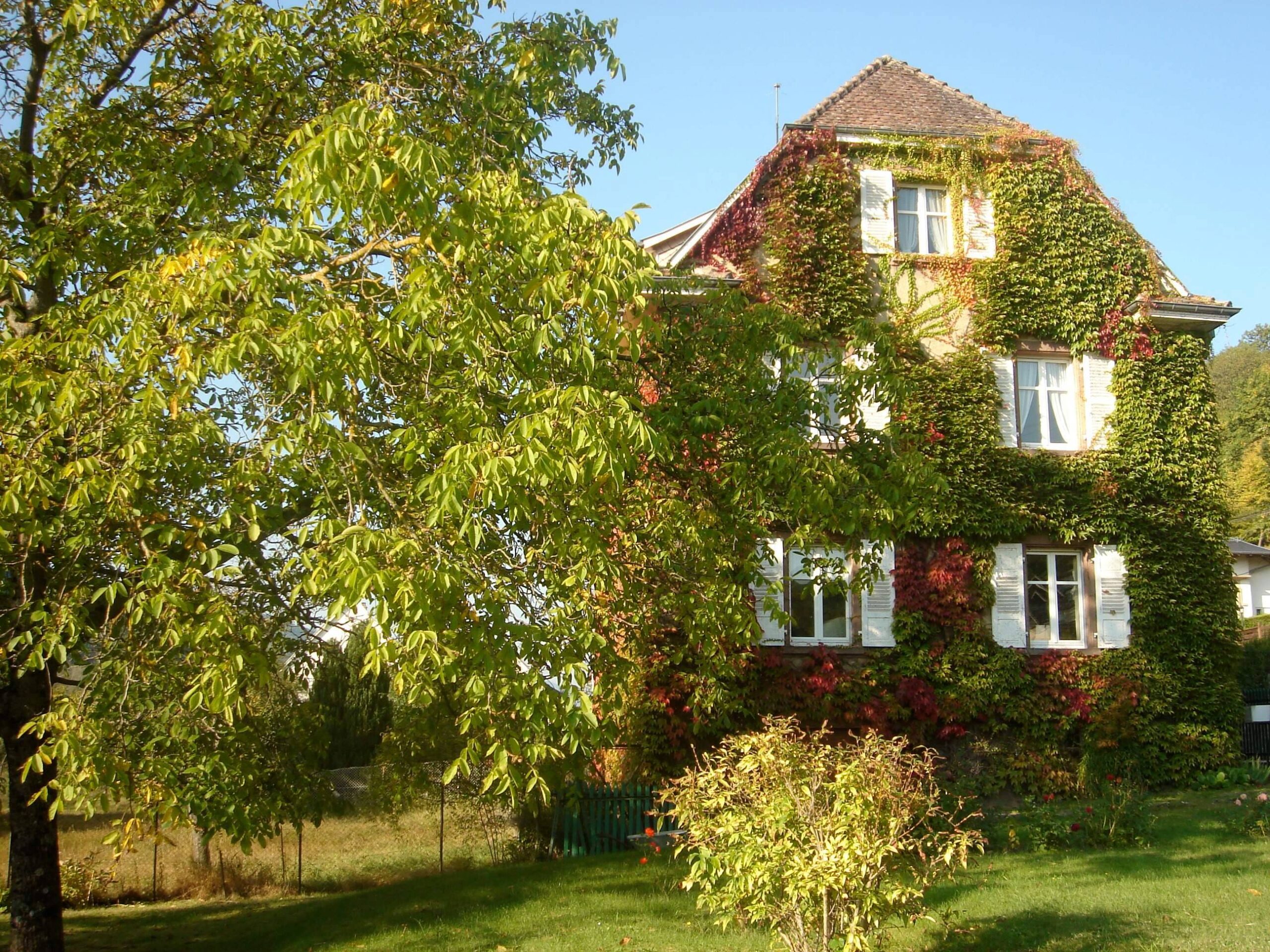 La Maison Albert Schweitzer à Gunsbach - Centre Schweitzer